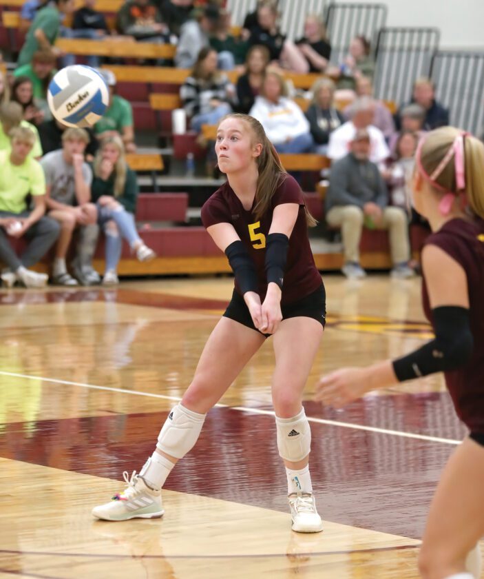 BEA falls to LCWM 3-1 in Sections | News, Sports, Jobs - Faribault ...